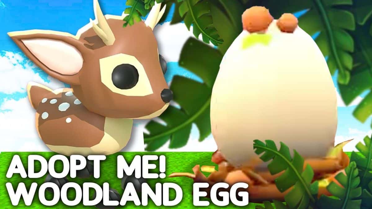 Adopt Me Reveal All the Pets From The New Woodland Egg - Entertainment ...