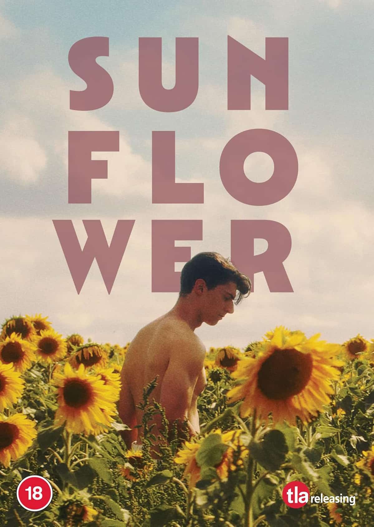 Review: 'Sunflower' is a coming out story that treads familiar ground ...
