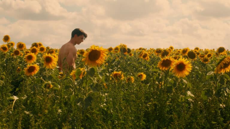 Review: 'Sunflower' is a coming out story that treads familiar ground ...