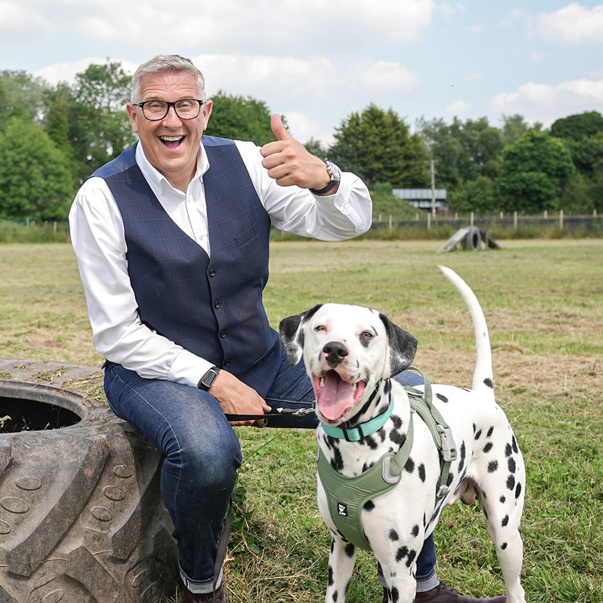Interview: Dogfather Graeme Hall on the new series of ‘Dogs Behaving ...